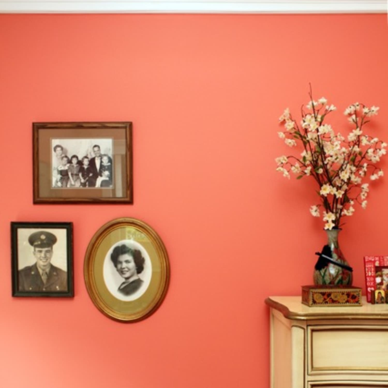 Coral paint swatches store